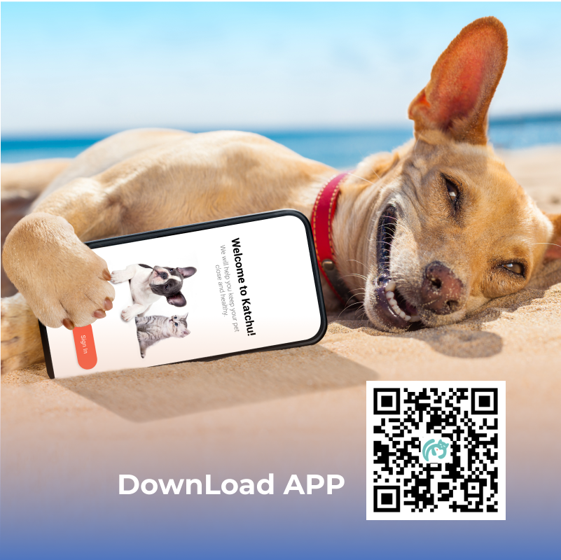 Eview GPS Tracking App | Real-Time GPS Monitoring for Pets